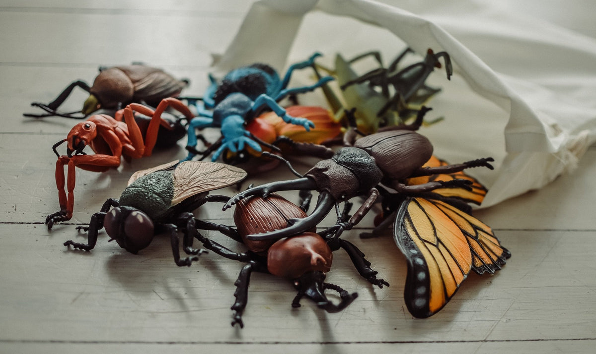 Bugs, Bee's & Butterflies – Nestling and Nook