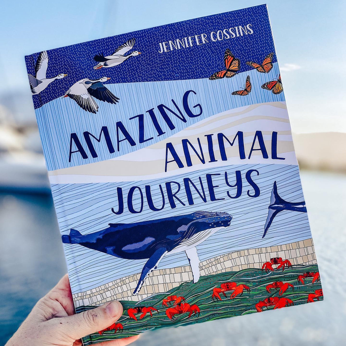 Amazing Animal Journeys – Nestling and Nook
