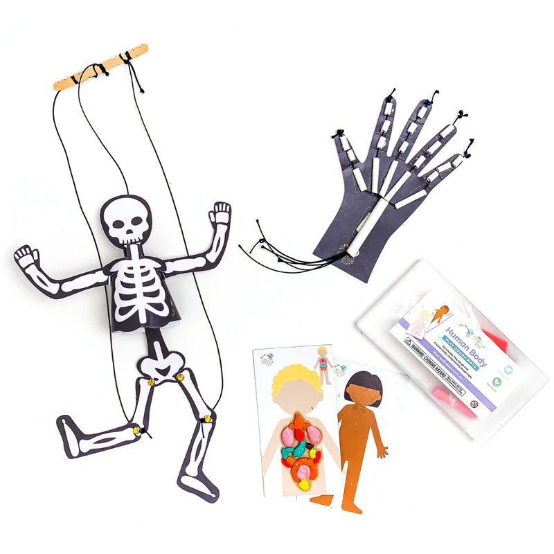 Human Body Mini Creative Kit 4-7 years – Nestling and Nook