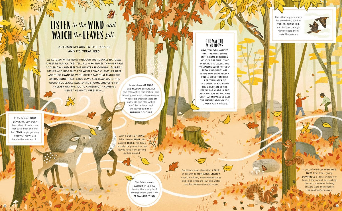 The Secret Signs of Nature – Nestling and Nook